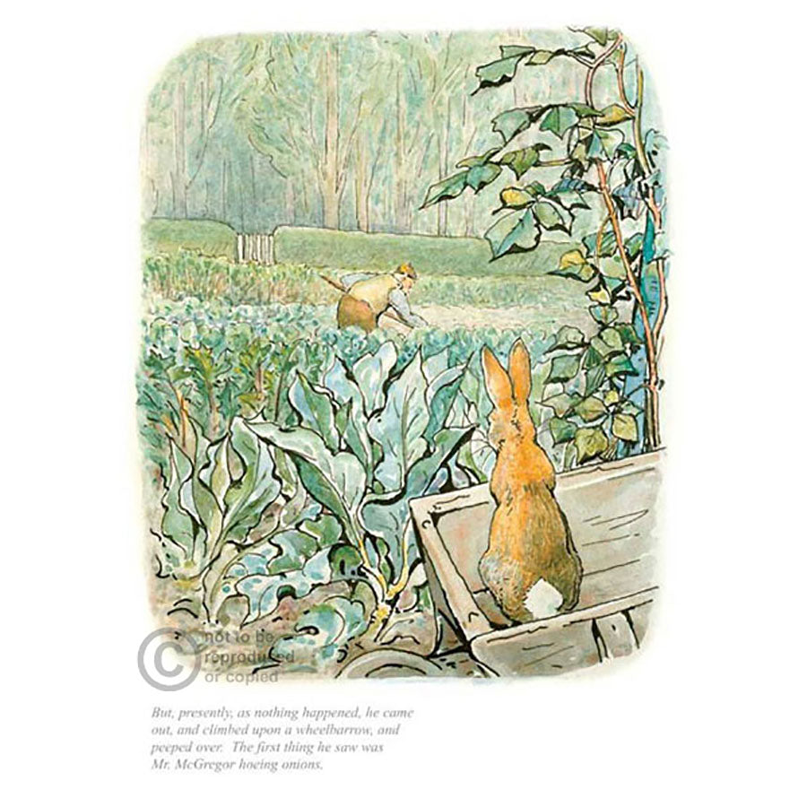 Peter Rabbit By Beatrix Potter | Kings Framers